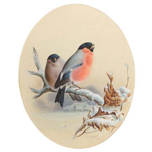 Bonhams : Harry Bright (British, 1846-1895) A group of four bird ...